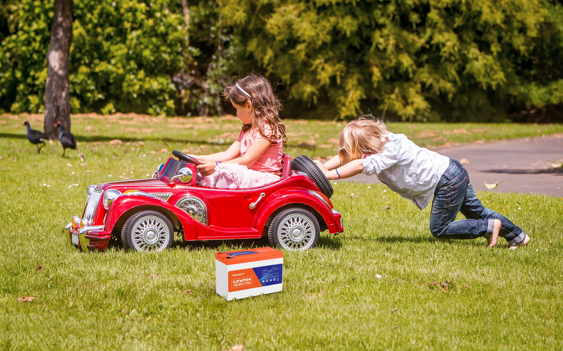 Temgot Lithium Batteries